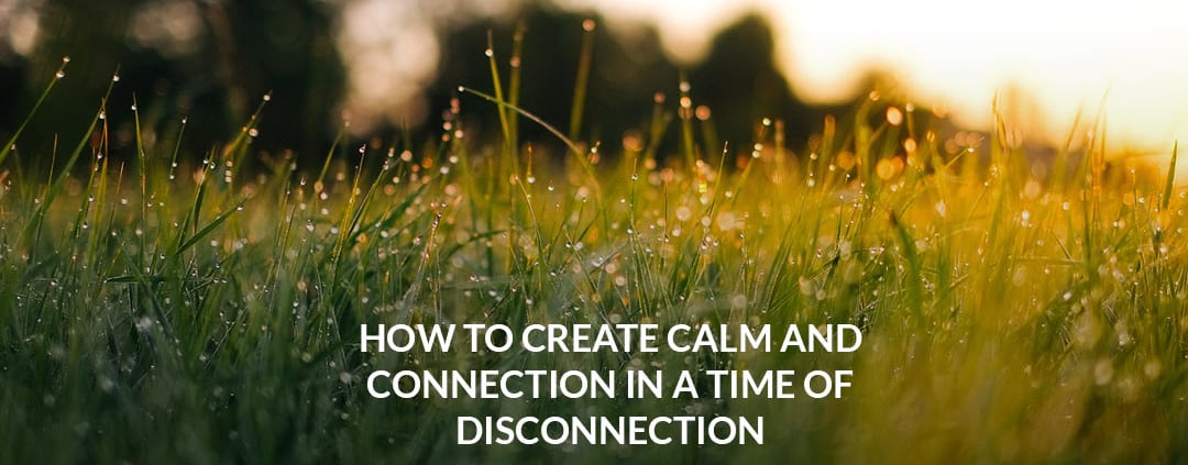 How to Create Calm and Connection in a Time of Disconnection | Melissa ...